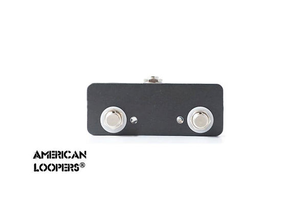 AmericanLoopers2ButtonExternalAuxSwitchLatchingwithLED_a902c47f-3fe2 ...